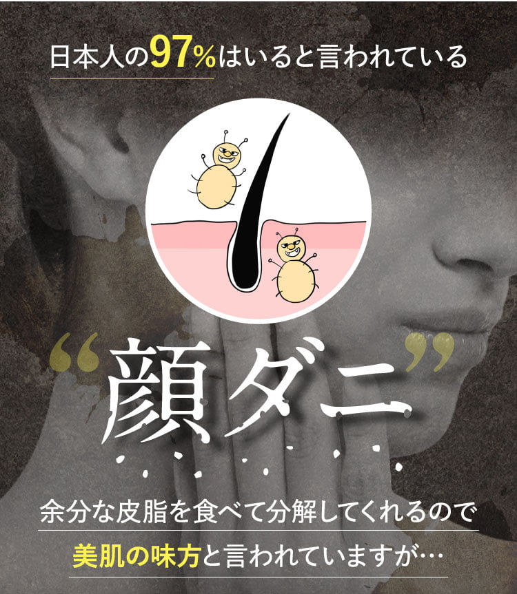 [公式]POTOLE（ポトレ）ジェルバームクレンジング / RAYELL